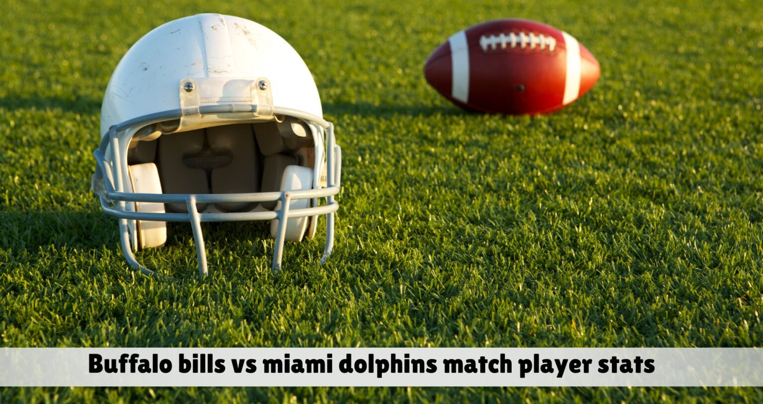 Buffalo Bills vs Miami Dolphins Match Player Stats Overview